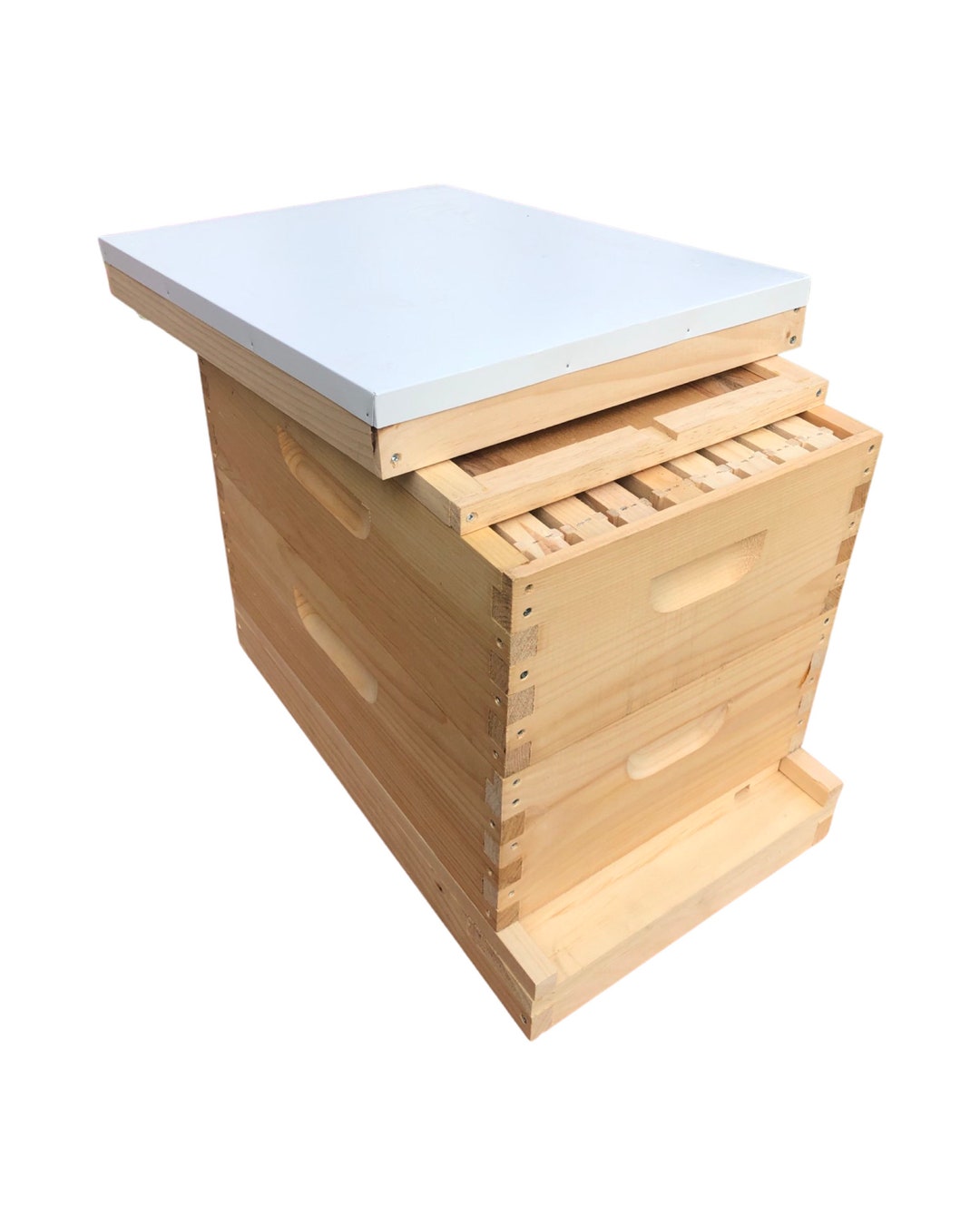 2 Medium (6 5/8) W/frames Beekeeping Bee Hive Kit (un-assembled ...