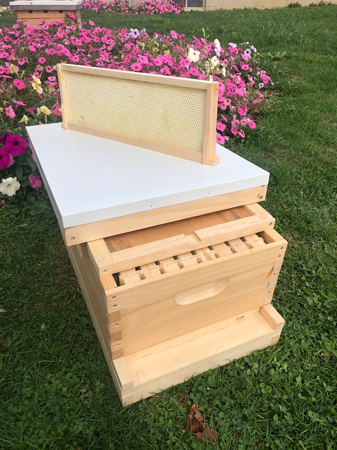 1 Medium 6 5/8 Complete Bee Hive Kit W/frames & Foundations - Etsy