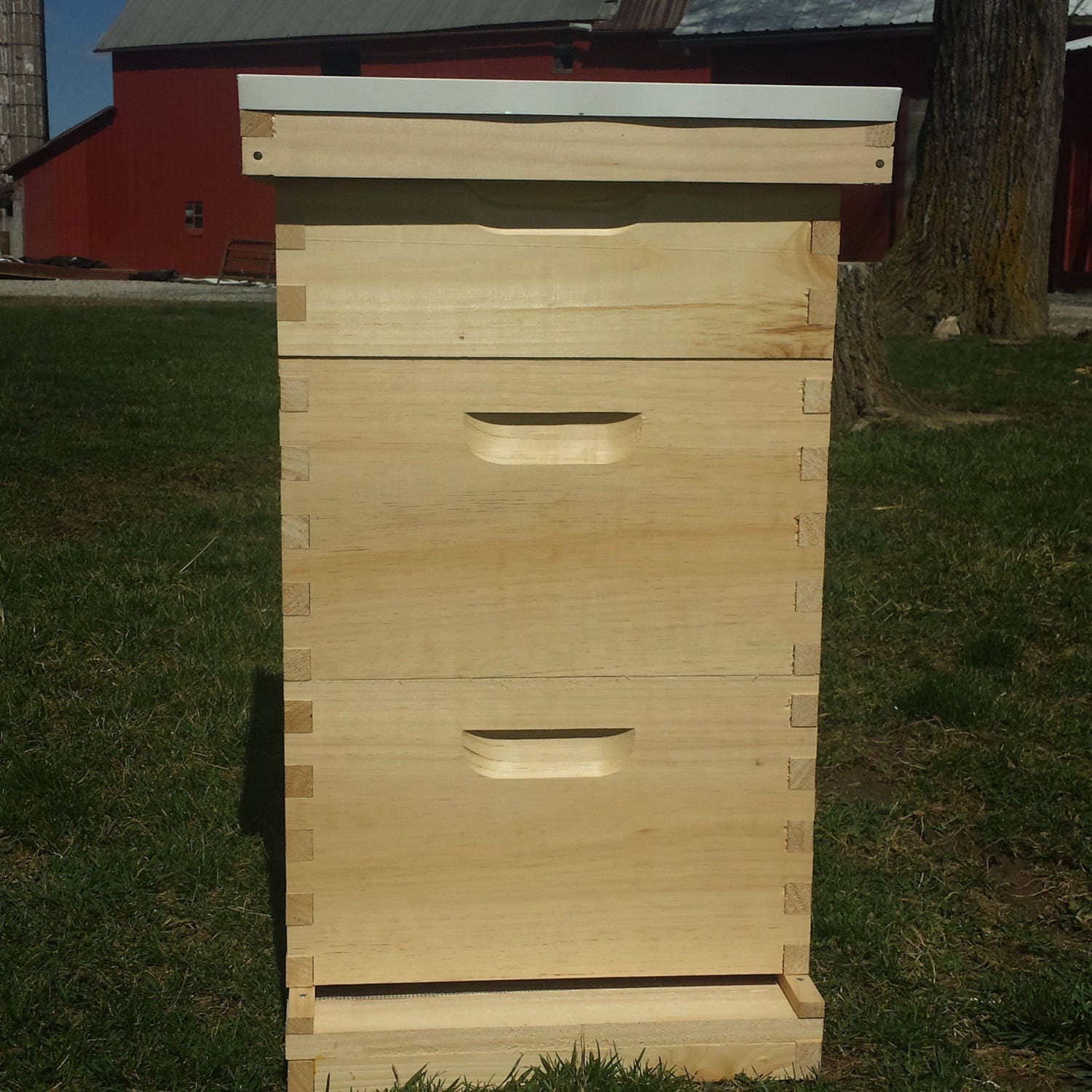 2 Deep & 1 Medium w/Frames Beekeeping Bee Hive kit Un-Assembled
