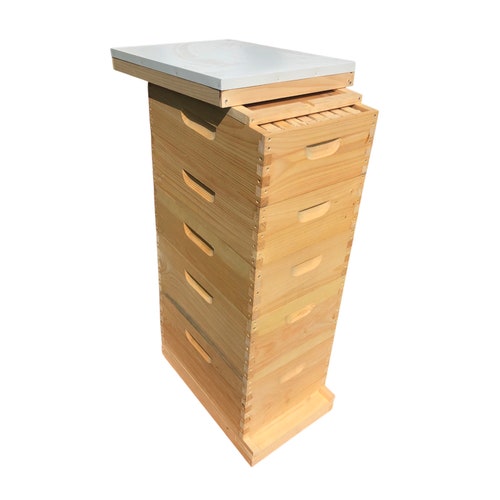 Bee Hive 10 Frame Langstroth 2 Deep Brood Boxes & 3 - Etsy