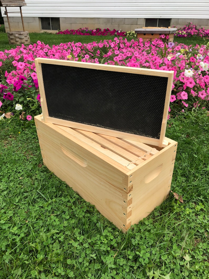 5/frame Deep 9 5/8 Nuc Complete Bee Hive W/frames & - Etsy