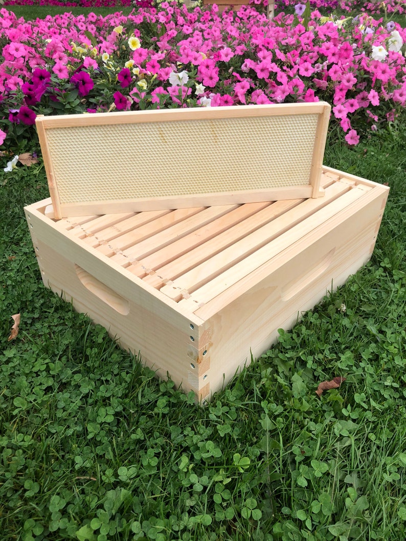 2 Medium 6 5/8 Complete Bee Hive Kit W/frames & Foundations | Etsy