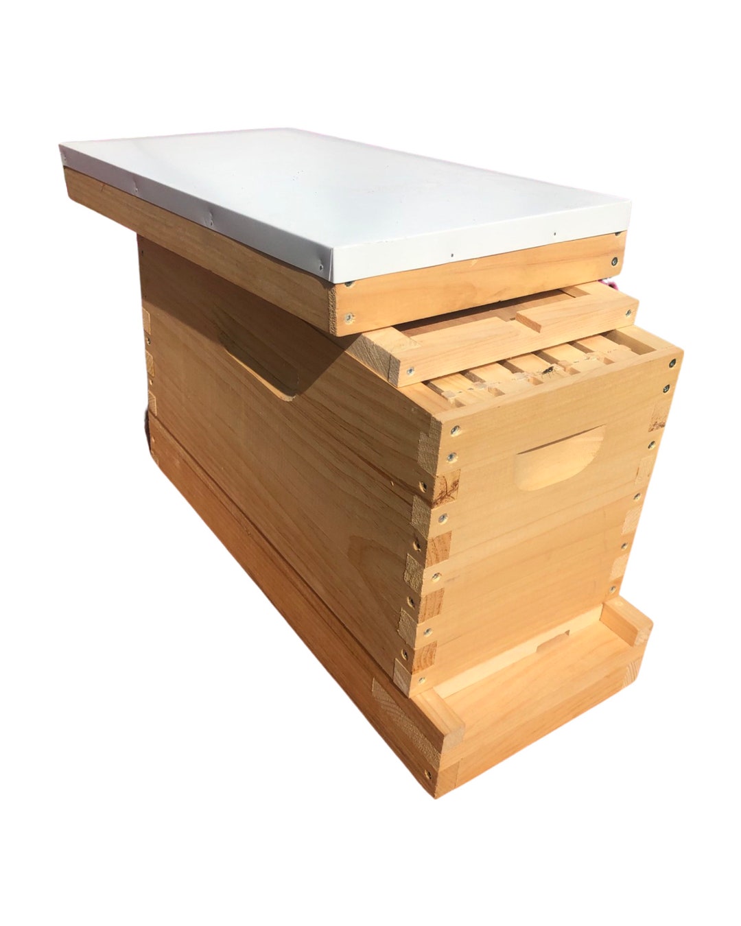 5/frame Deep 9 5/8 Nuc Bee Hive W/frames Un-assembled - Etsy
