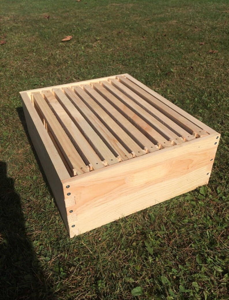 2 Medium 6 5/8 Complete Bee Hive kit w/Frames & Foundations | Etsy