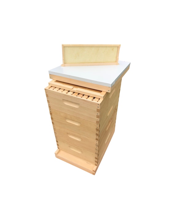 4 Medium 6 5/8 Bee Hive W/frames & Foundations | Etsy