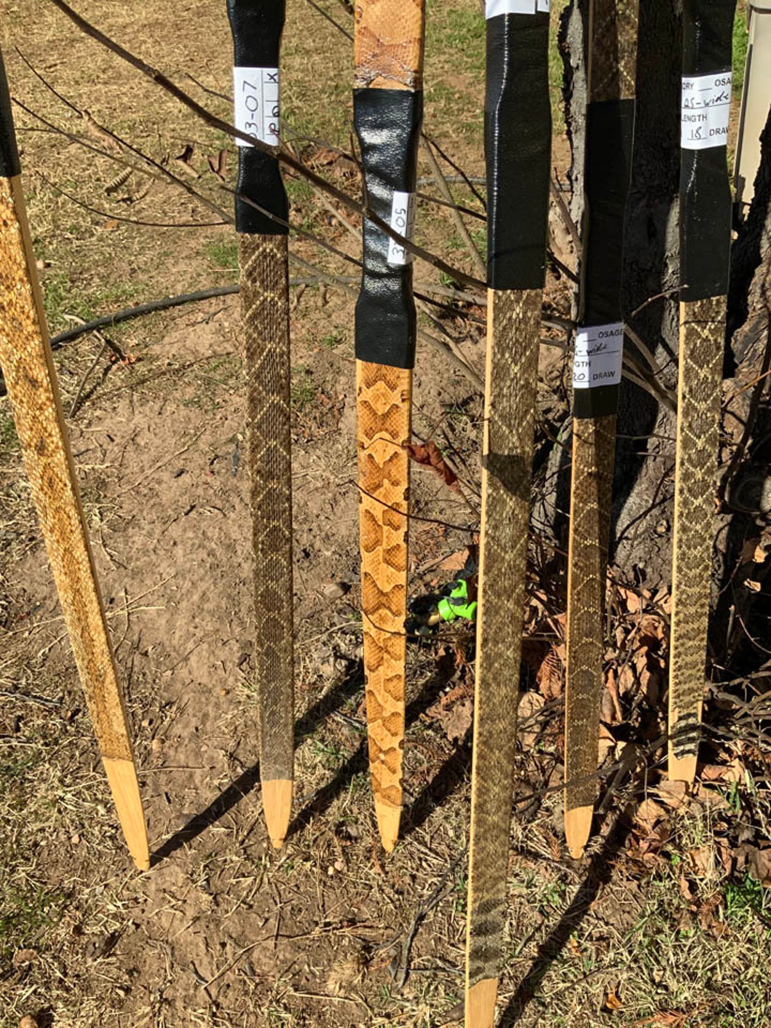 Rattlesnake Backed Hickory Bow - Etsy