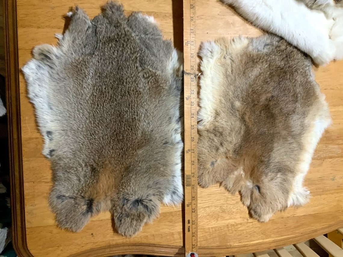 Natural Colors White and Brown RABBIT SKINS / PELTS - Etsy