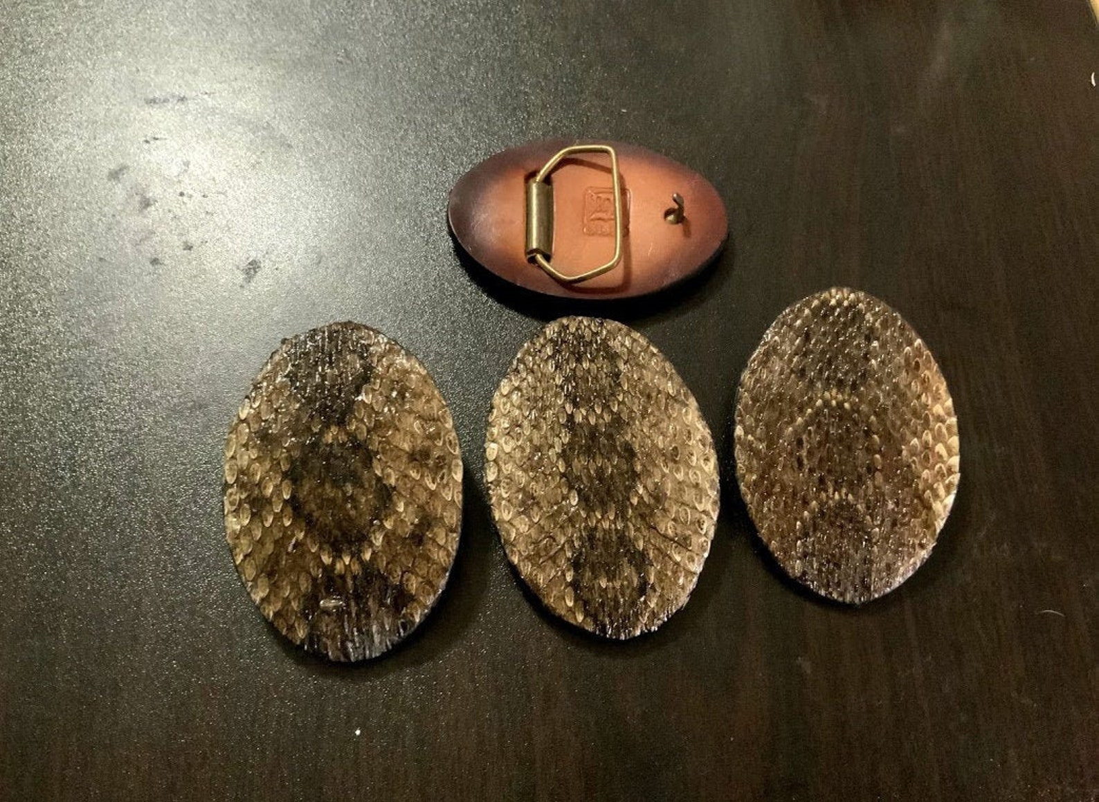 Diamondback Rattlesnake Skin Belt Buckle - Etsy