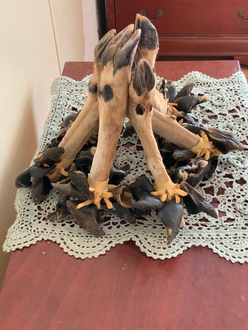 DEER TOE RATTLER With Deer Leg Handle - Etsy