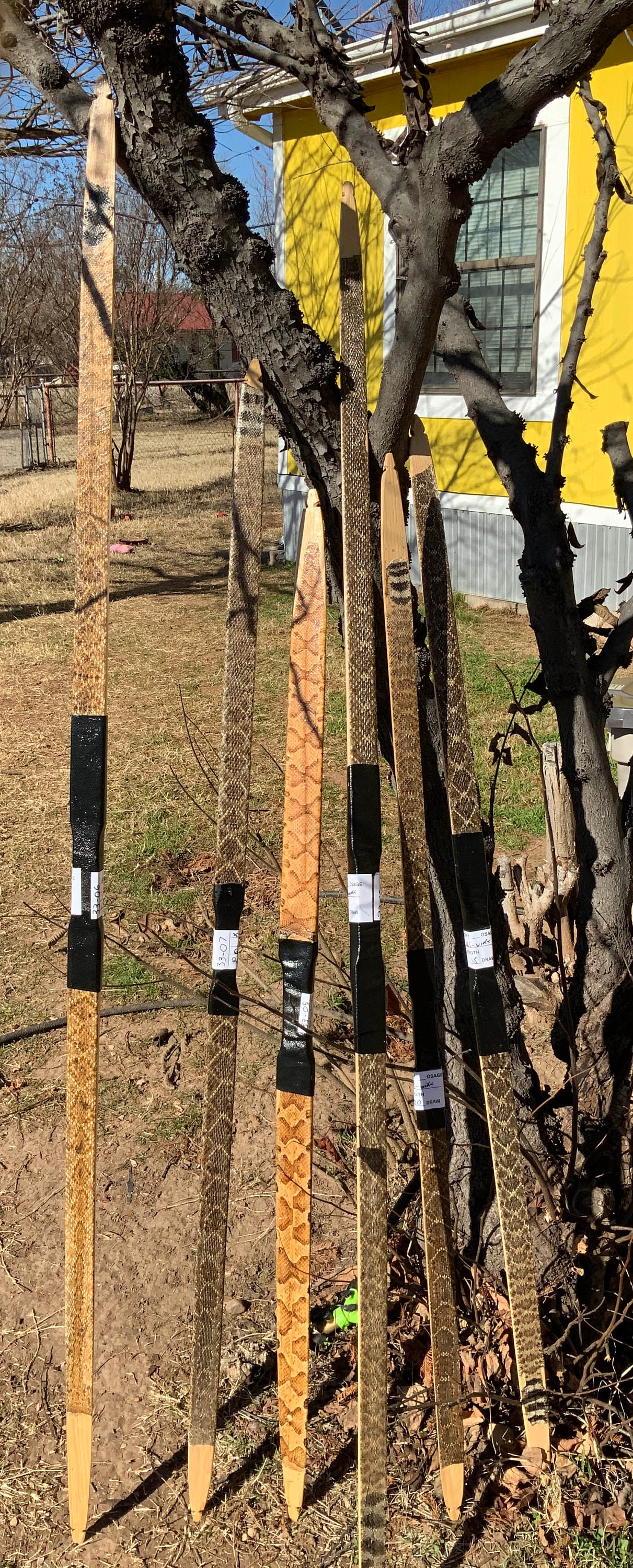 Rattlesnake Backed Hickory Bow - Etsy