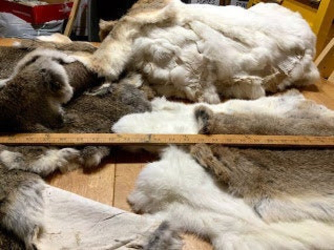 Natural Colors White and Brown RABBIT SKINS / PELTS - Etsy