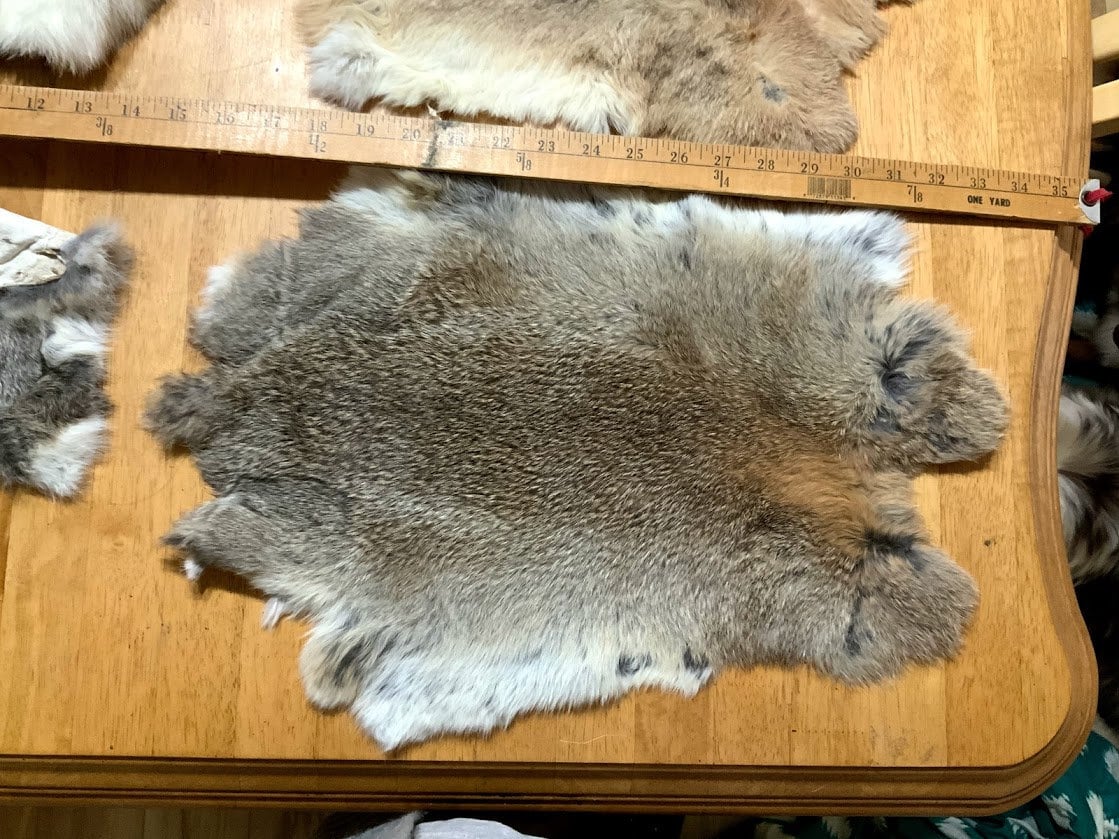Natural Colors White and Brown RABBIT SKINS / PELTS - Etsy