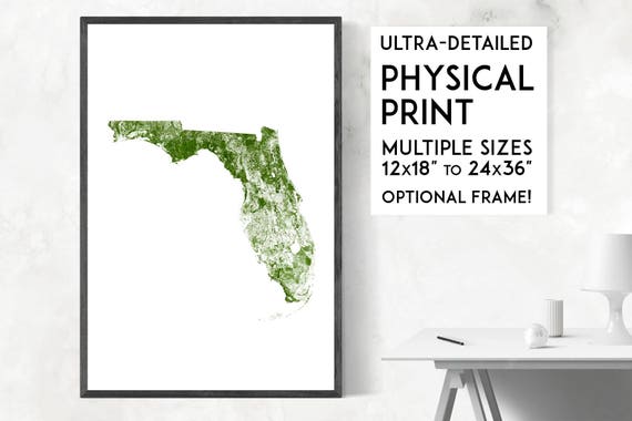 Forests of Florida Poster Print Physical Florida Map Print | Etsy