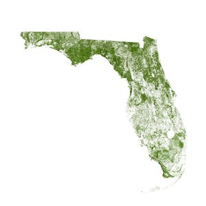 Forests of Florida Poster Print | Physical Florida Map Print, Florida ...