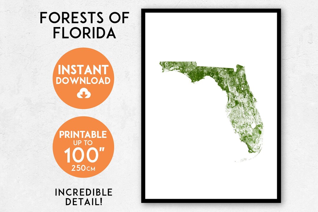 Florida Forest Map Art Print: Detailed USA Wall Art (digital Download ...