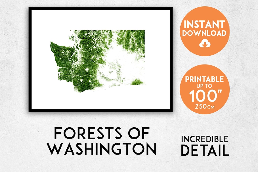 Washington State Forest Map Art Print: Detailed Topography (digital ...