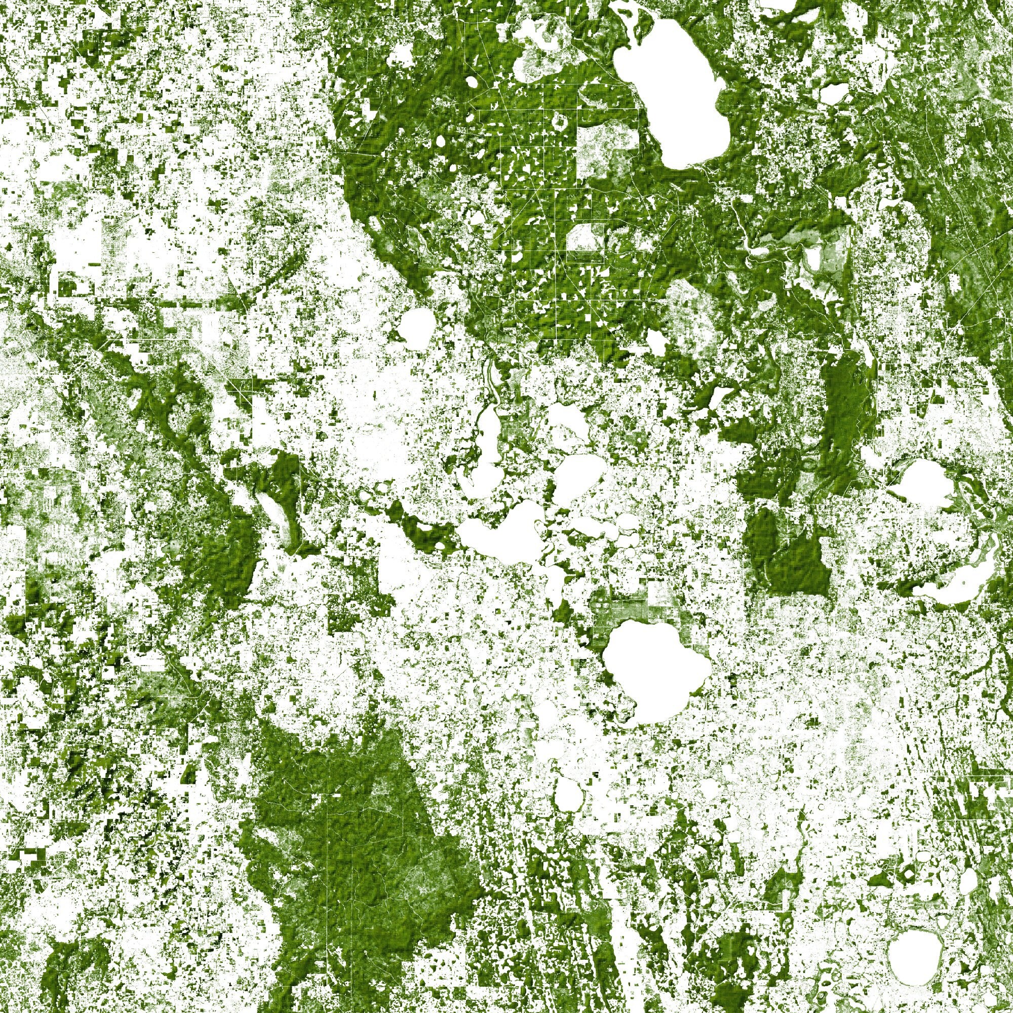 Forests of Florida Poster Print Physical Florida Map Print | Etsy