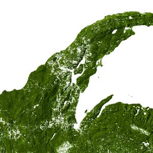 Forests of Michigan Poster Print | Physical Michigan Map Print ...