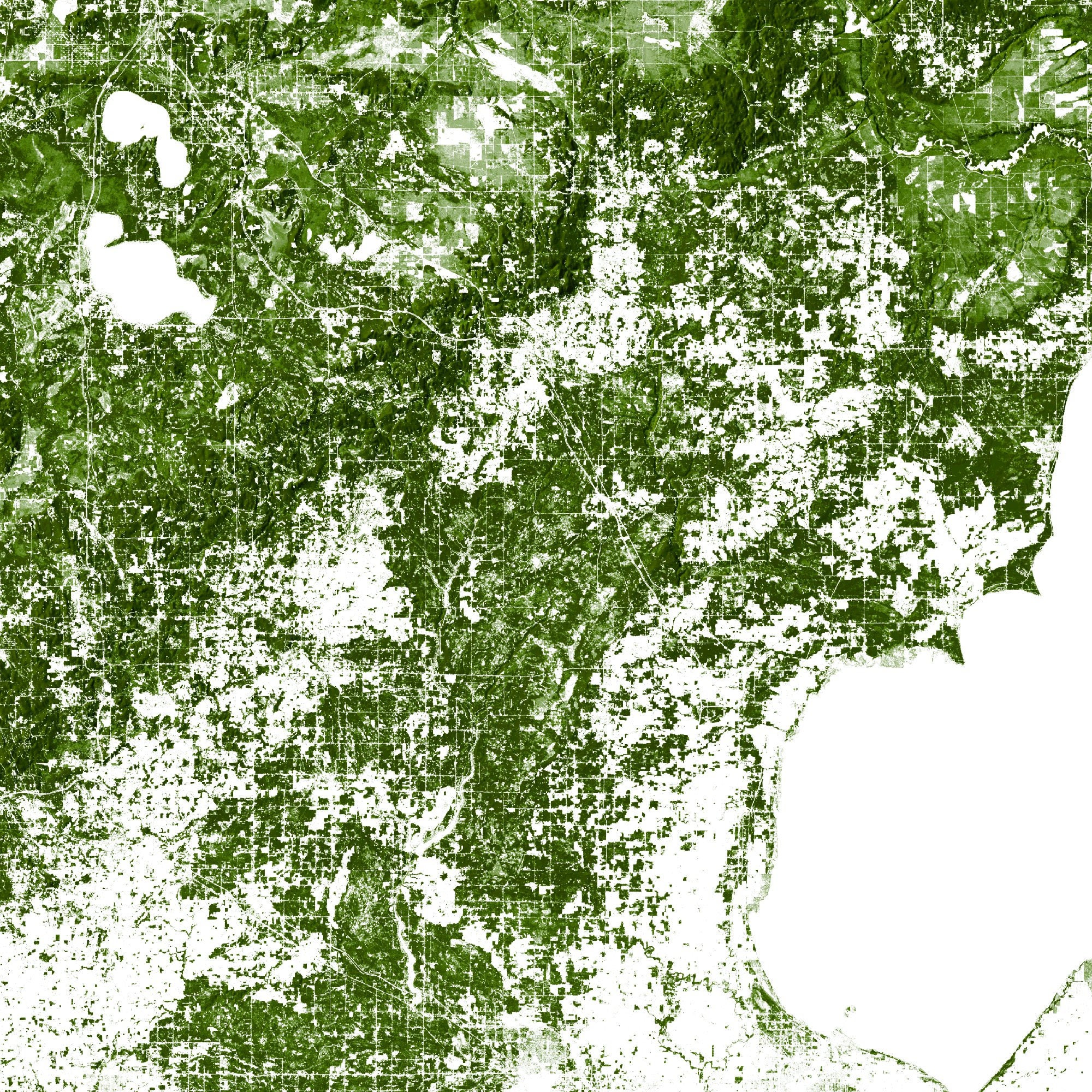 Forests of Michigan map print Printable Michigan map art | Etsy