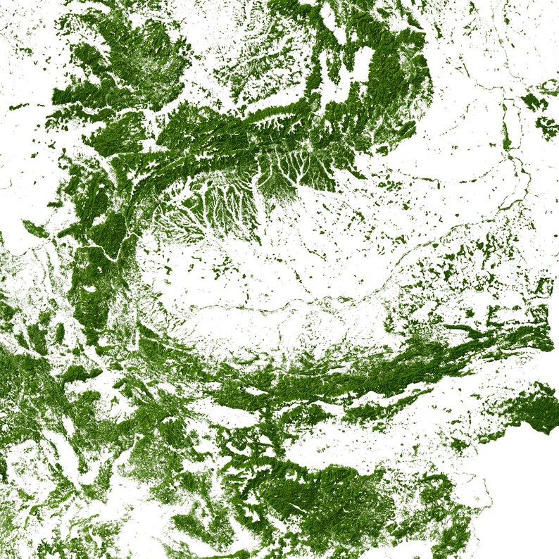 Forests of Europe Poster Print Physical Europe Map Print - Etsy