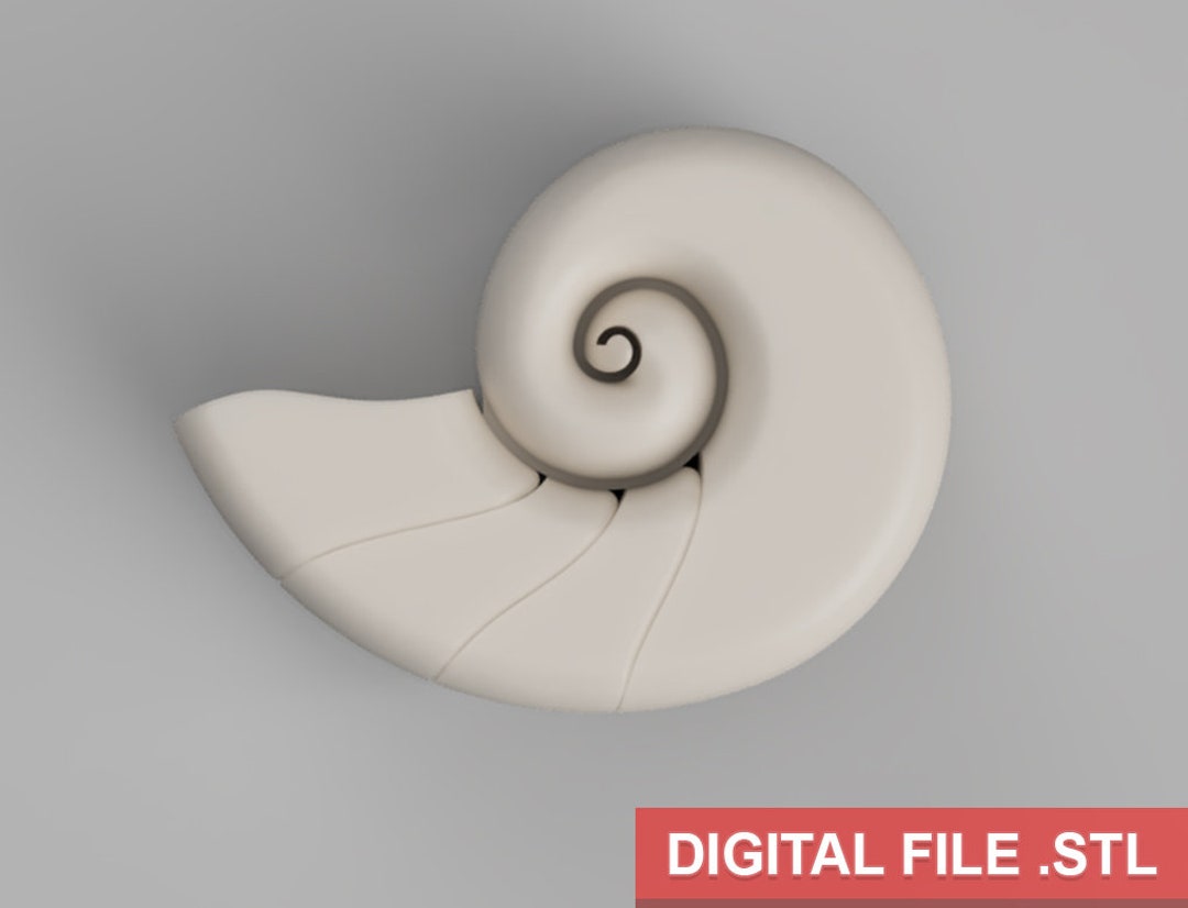 Model 3d STL Shell Necklace Ariel Ursula Little Mermaid the - Etsy