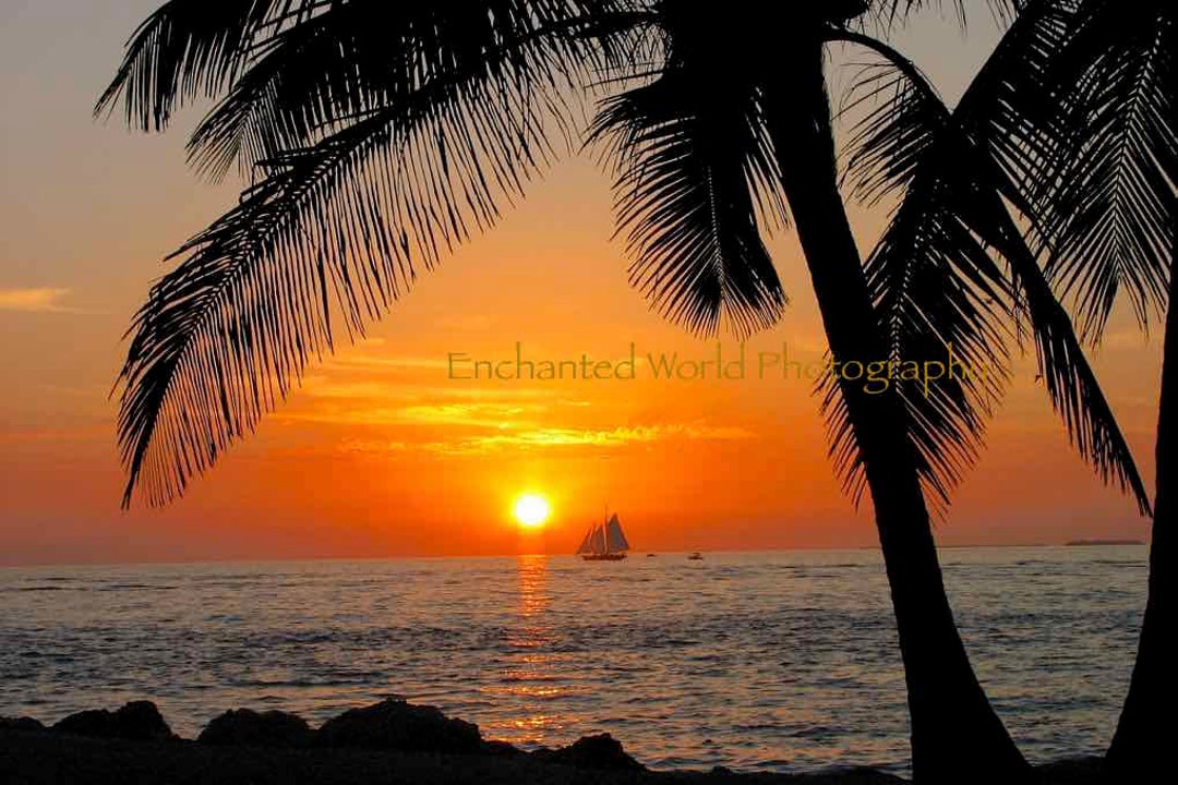 Key West Sunset Photo, Palm Tree Photo, Palm Tree Wall Art, Beach House ...