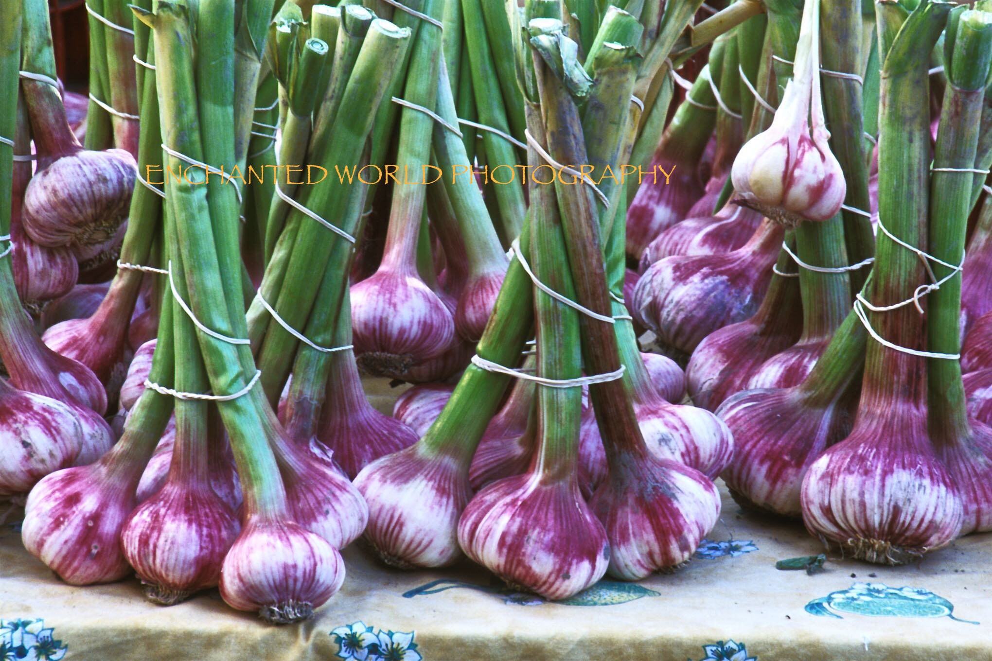 French Market Print, Garlic Photo, Provence Photo, Kitchen Art, Food ...
