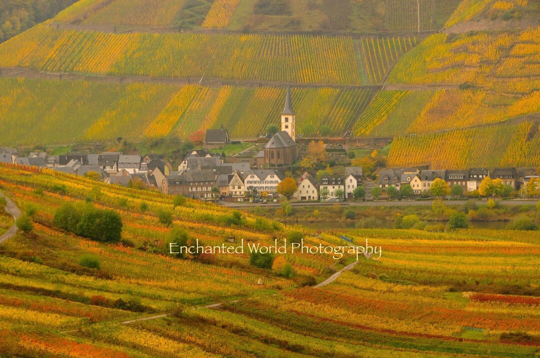 Bremm Germany Photo, Mosel River Photo, Vineyard Village Art Print ...