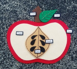 Water Cycle Felt Set/water Cycle Unit Study/homeschool Science ...