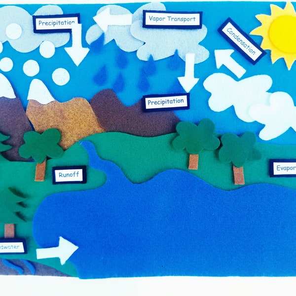 Water Cycle Project - Etsy