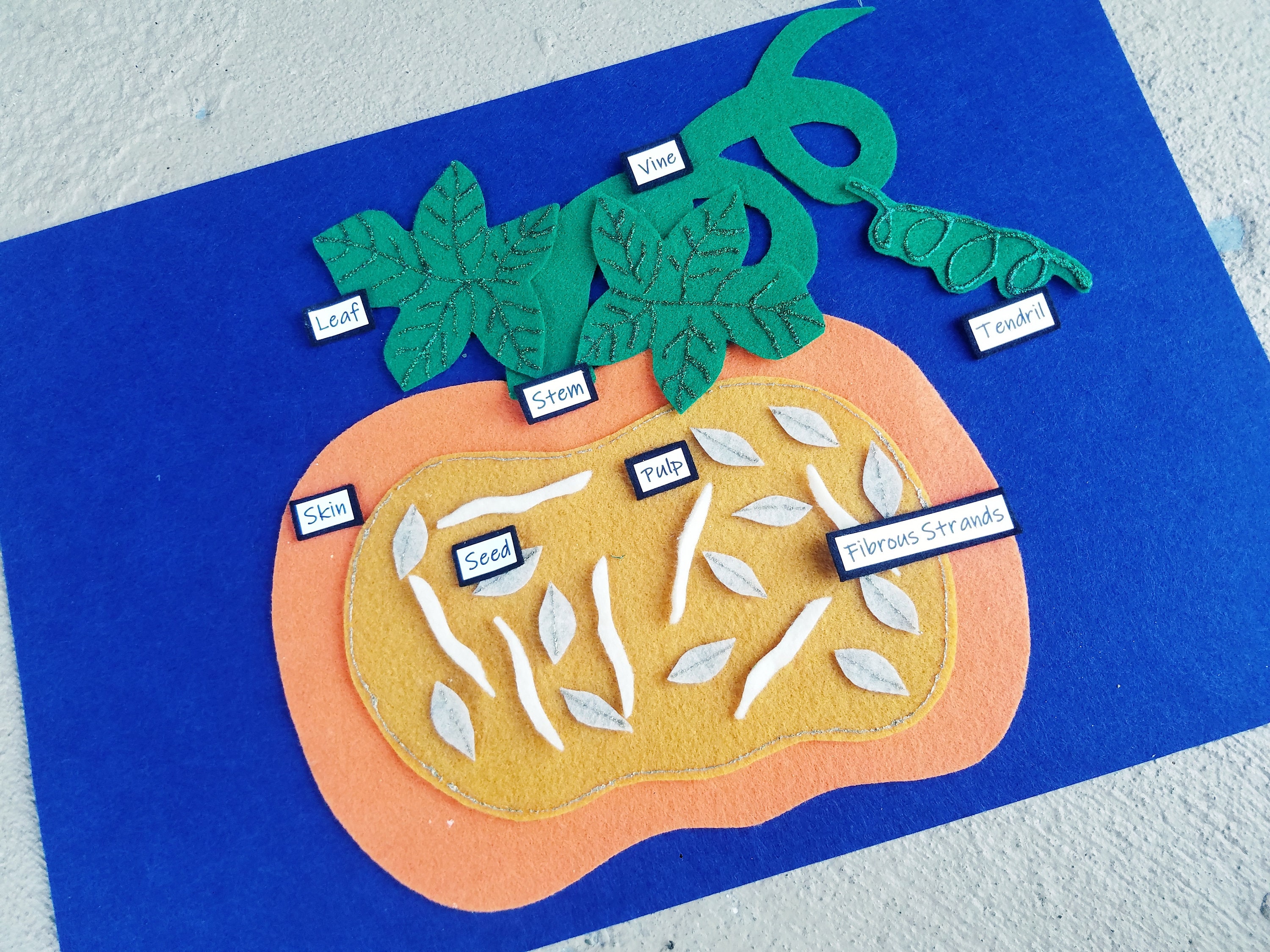 Parts of a Pumpkin Felt Set/pumpkin Anatomy Felt Set/pumpkin Unit Study ...