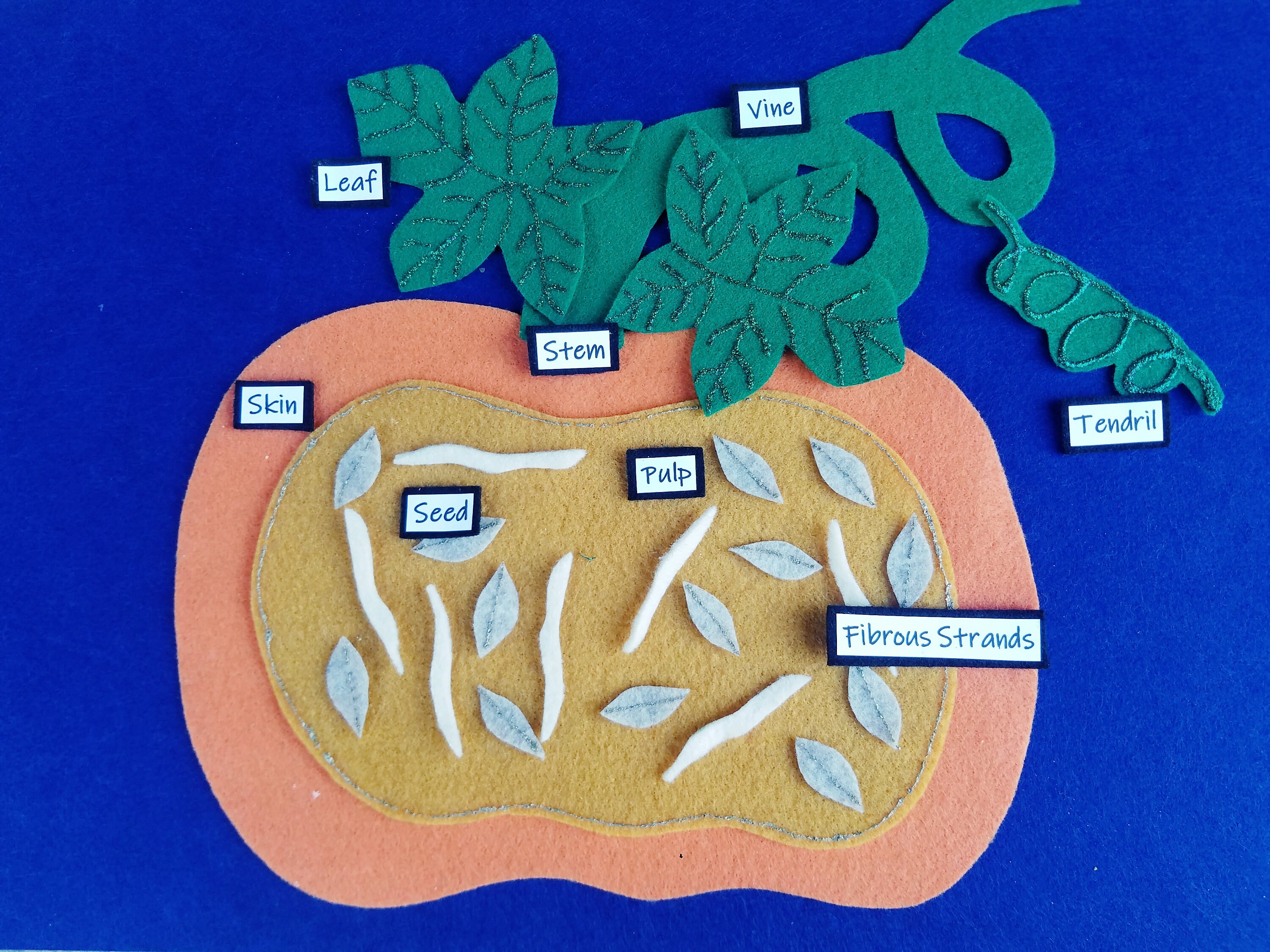 Parts of a Pumpkin Felt Set/pumpkin Anatomy Felt Set/pumpkin Unit Study ...
