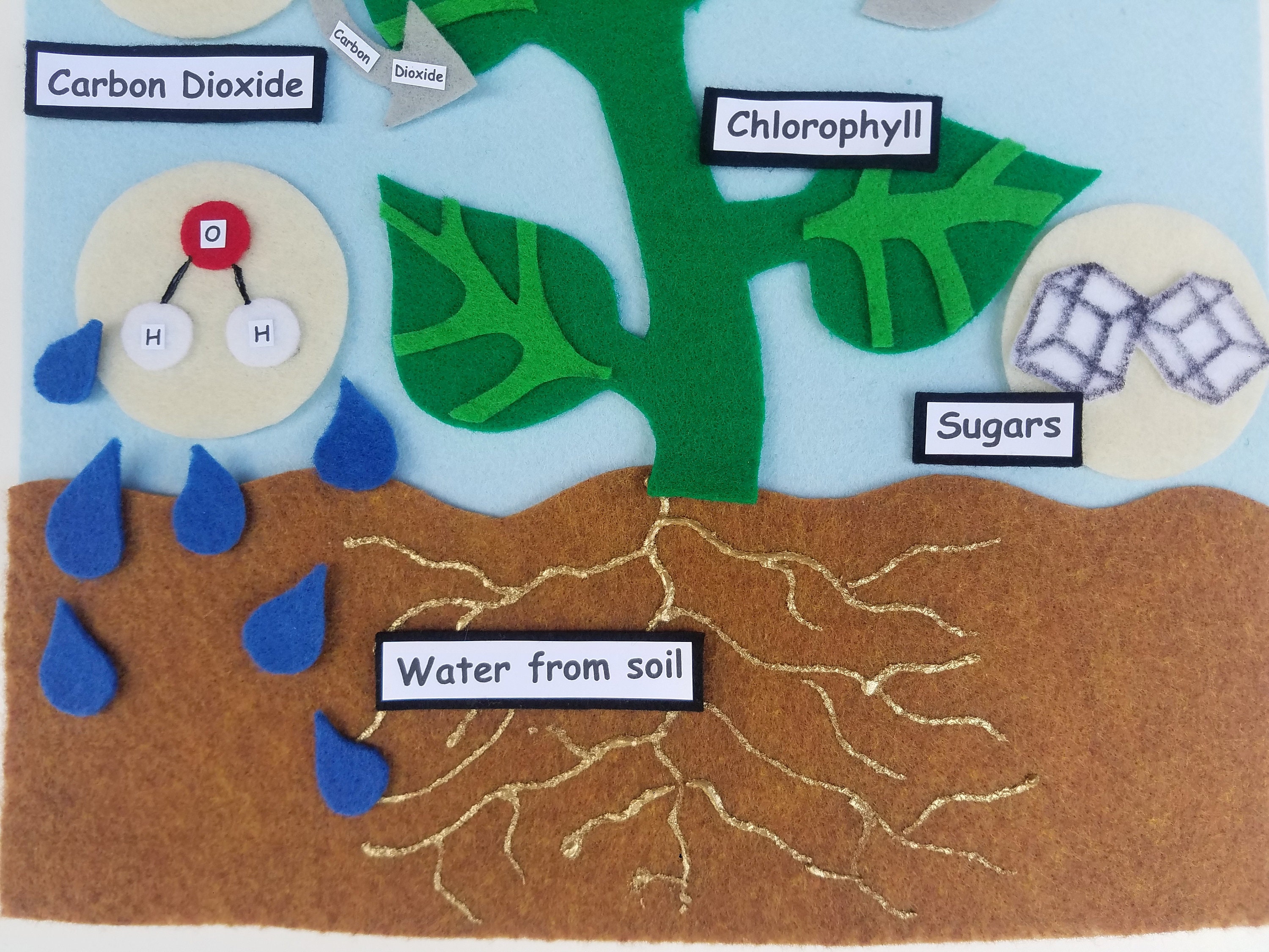 Photosynthesis Felt Set/homeschool Science/montessori Science/charlotte ...