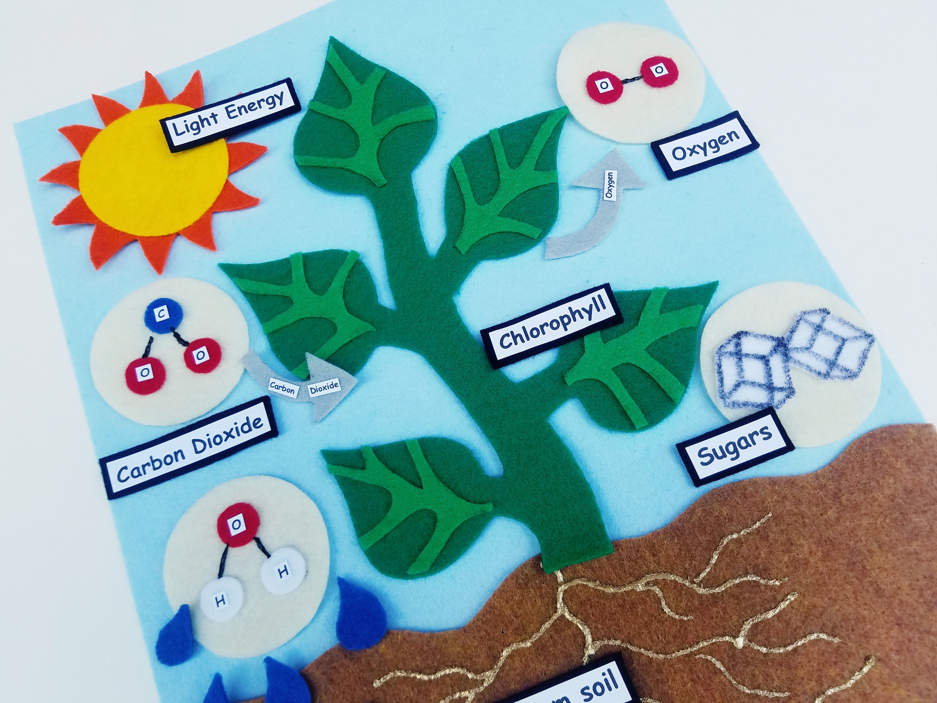 Photosynthesis Felt Set/homeschool Science/montessori Science/charlotte ...