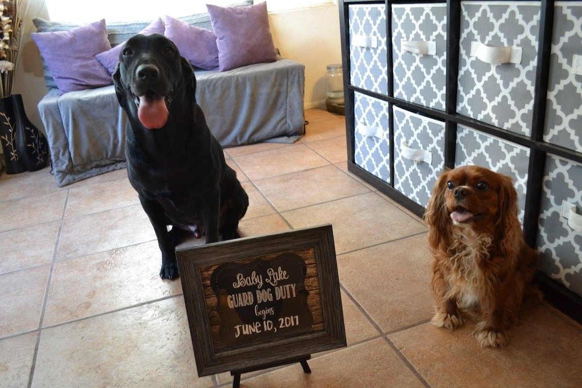 Printable Baby Announcement Sign Guard Dog Duty Dog Baby - Etsy