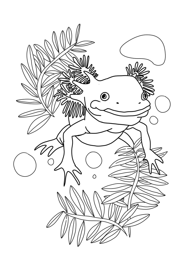 Axolotl Coloring Page, Printable Axolotl Coloring Page for Kids, Boys ...