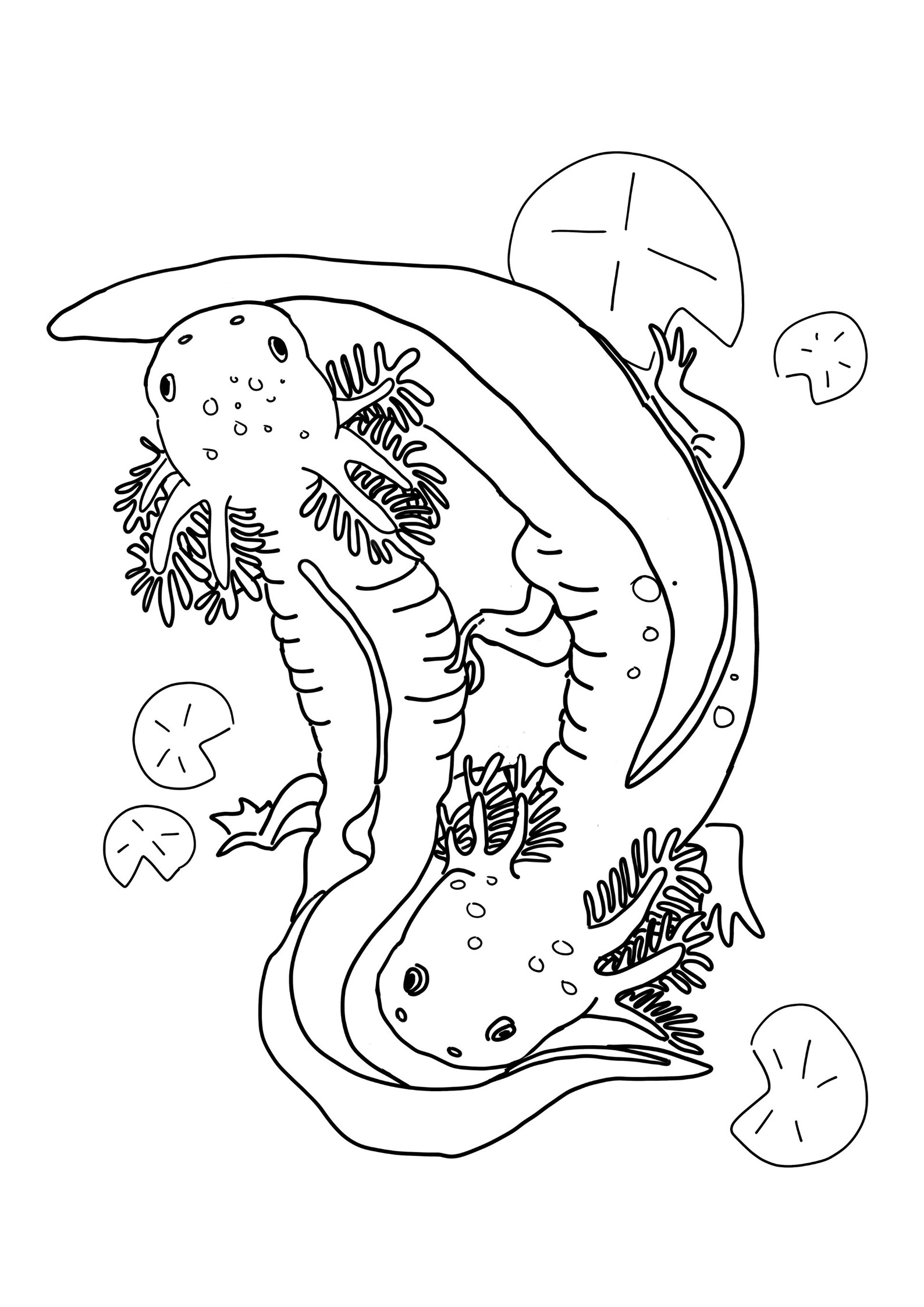Axolotl Coloring Page, Printable Axolotl Coloring Page for Kids, Boys ...