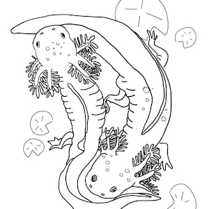 Axolotl Coloring Page, Printable Axolotl Coloring Page for Kids, Boys ...