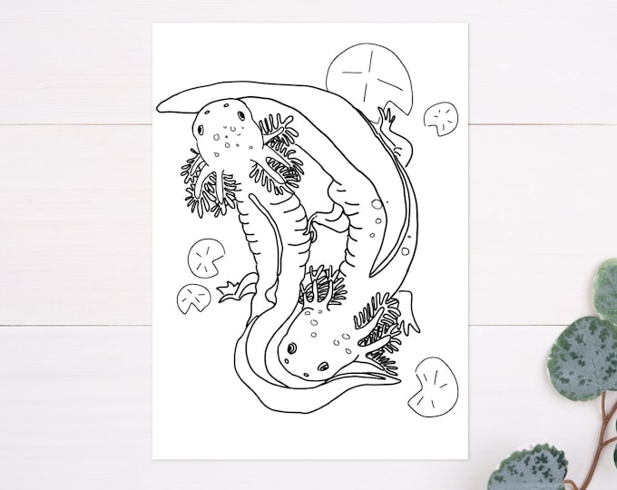 Printable Axolotl Coloring Pages and Fun Facts, Cute Axolotl Coloring ...