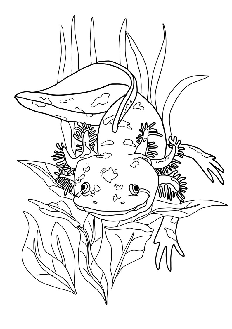 Axolotl Coloring Page, Printable Axolotl Coloring Page for Kids, Boys ...