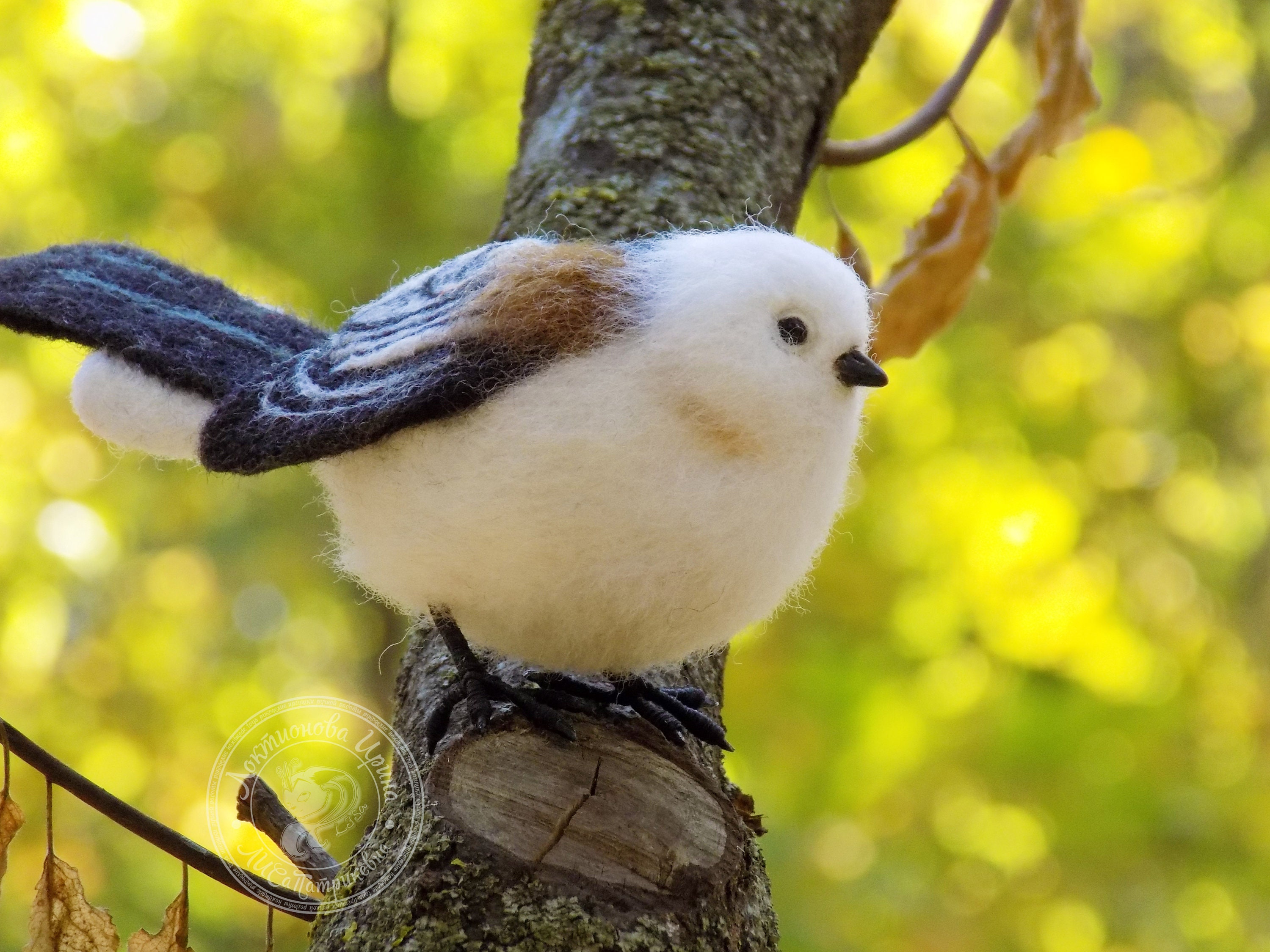 Needle Felted Bird Needle Felted Animal Little Bird - Etsy