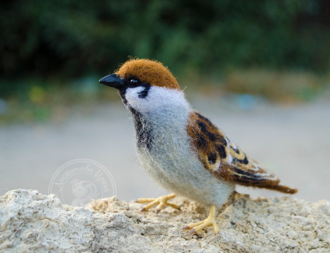 Needle Felted Sparrow: Miniature Wool Bird Sculpture Autumn Gift Decor ...