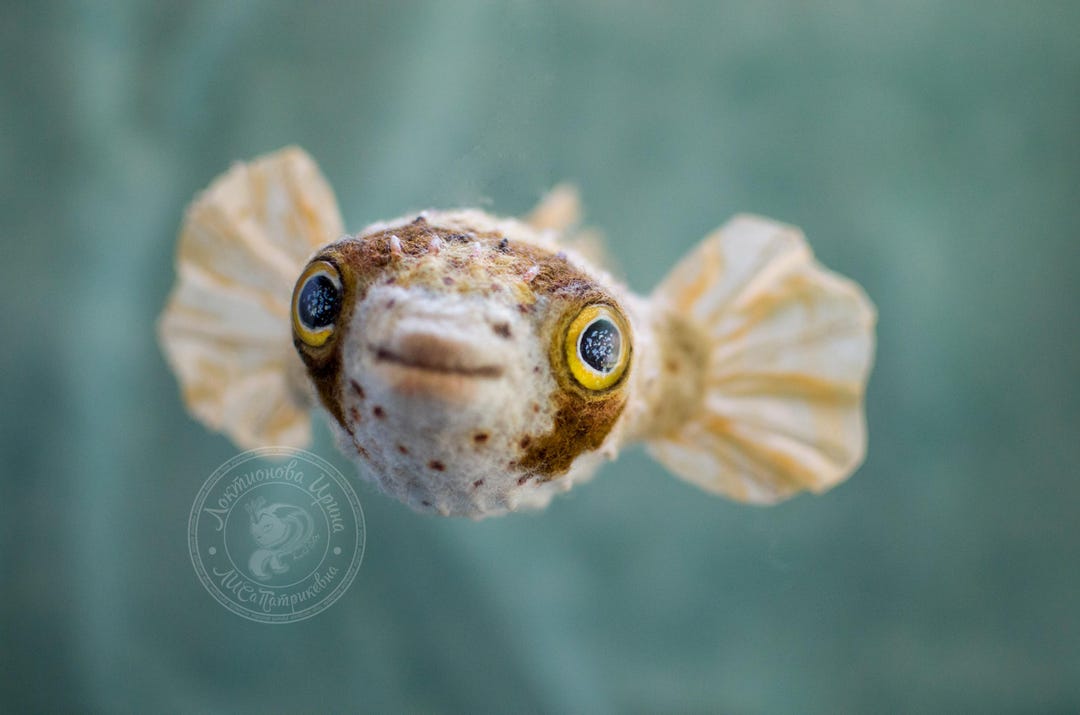 Porcupine Fish Needle Felting: Felted Realistic Sculpture. - Etsy