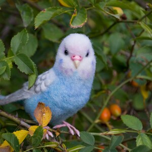 Budgerigar Blue Parrot Feltid Realistic Bird Needle Felting Sculpture ...