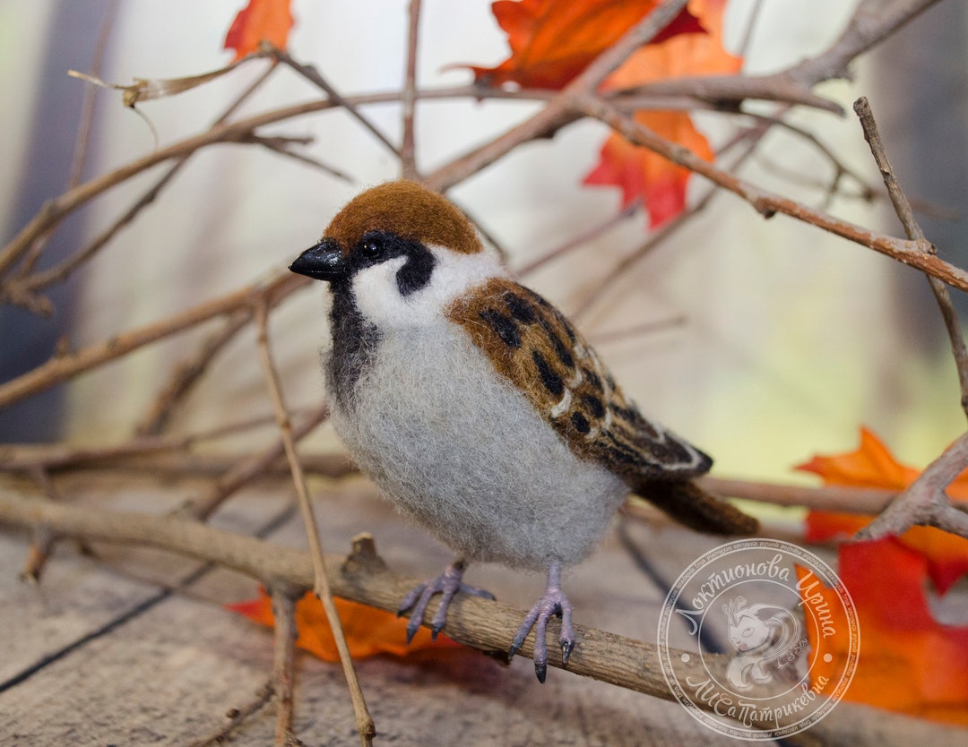 Needle Felted Bird. Needle Felted Animal. Couple of Bird. Brow Bird ...