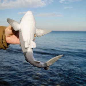 Needle Felted White Shark, Wool Sculpture, Ocean Decor - Etsy