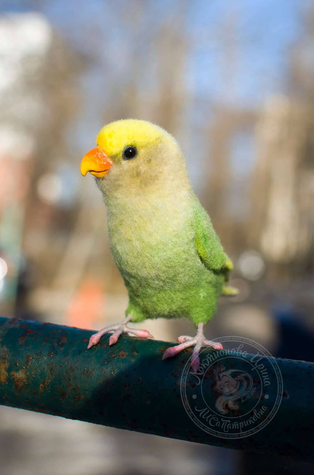 Felted Parrot Sculpture: Needle Felted Bird, Realistic Wool Animal - Etsy