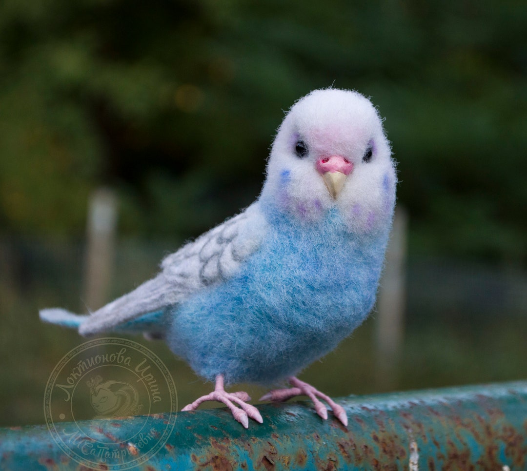 Budgerigar Blue Parrot Feltid Realistic Bird Needle Felting Sculpture ...