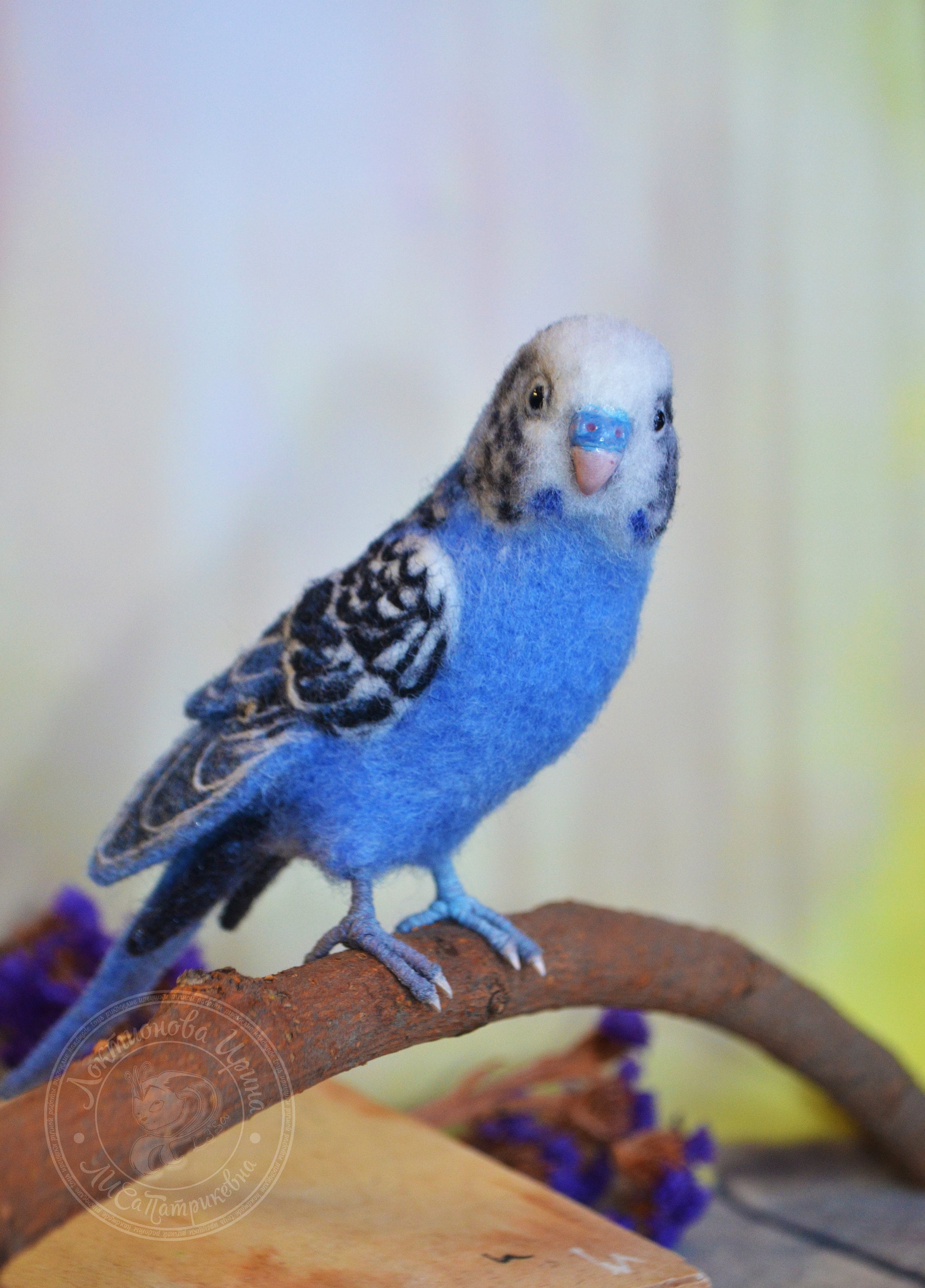 Budgerigar Dry Felting Bird Animal Felting Blue Parrot. - Etsy