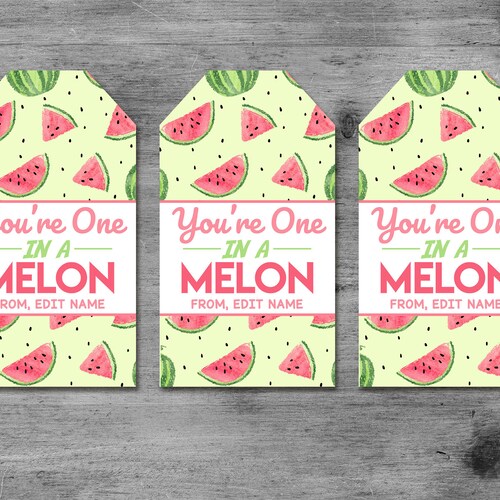 EDITABLE Watermelon Favor Tag One in a Melon Thank You Tags | Etsy